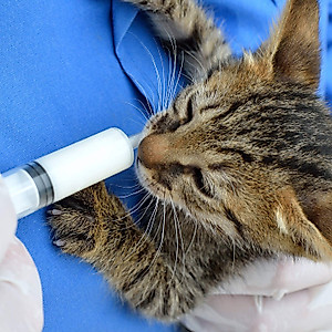 Boao 10 Pack Plastic Syringe Liquid Measuring Syringes Without Needle for Epoxy Resin, Craft, Scientific Labs, Feeding Pets Animals, Oil or Glue Applicator (60 ML)