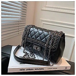 capasin Quilted Small Crossbody Women'S Shoulder Handbags Purses Bags (Black C)