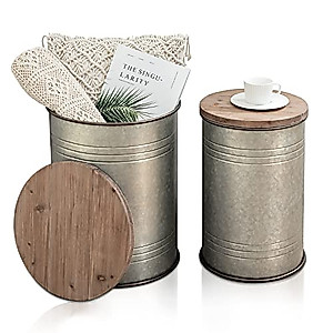 BRIAN & DANY 2 Pack Farmhouse Accent Side Table, Rustic Storage Ottoman Seat Stool with Round Wood Lid, Galvanized Metal Storage Bin for Living Room Furniture, Distressed Grey