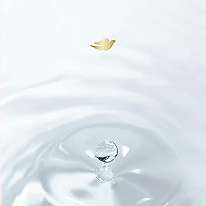 Dove Ultra Intensive Repair Concentrate Shampoo And Conditioner For Damaged Hair Repairs And Protects In 30 Seconds, 2X More Washes, Combo Pack, 20 fl oz (Pack of 2)