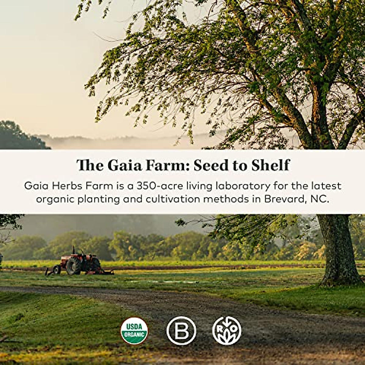 Gaia Herbs Thyroid Support - Made with Ashwagandha, Kelp, Brown Seaweed, and Schisandra to Support Healthy Metabolic Balance and Overall Well-Being - 60 Vegan Liquid Phyto-Capsules (20-Day Supply)