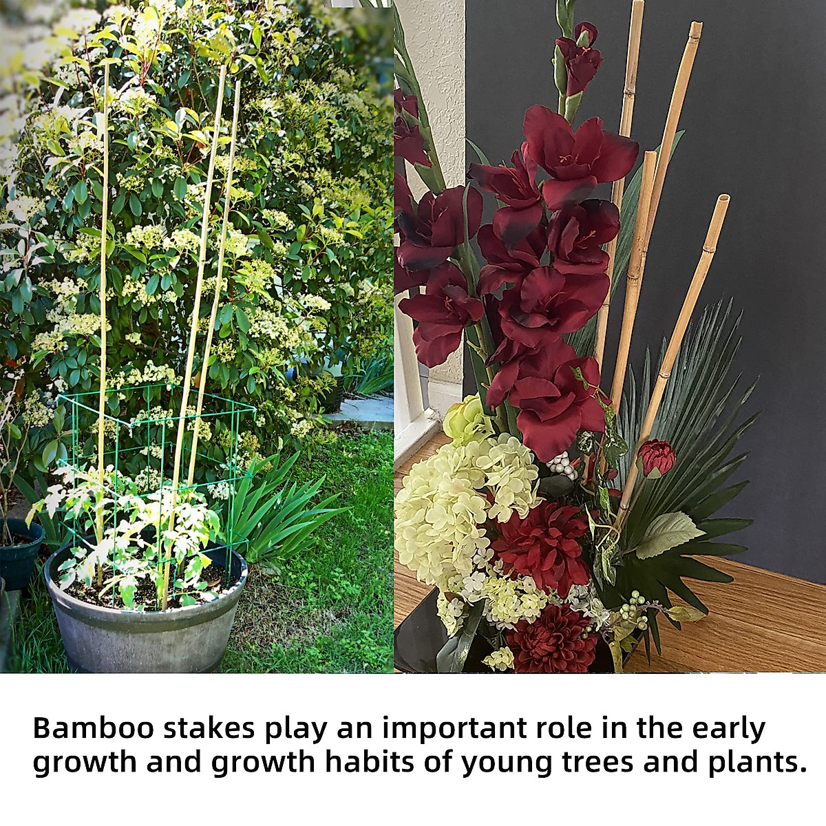 50Pcs Garden Stakes, 0.32”/16 Inch Bamboo Sticks，Natural Plant Stakes for Indoor and Outdoor Plants，Poles for Tomatoes, Beans, Potted Plants