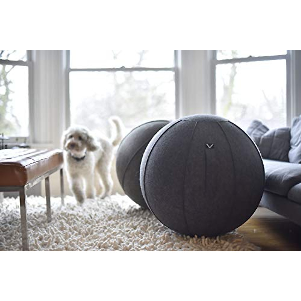 Vivora Luno - Sitting Ball Chair for Office and Home, Lightweight Self-Standing Ergonomic Posture Activating Exercise Ball Solution with Handle & Cover, Classroom & Yoga, Standard