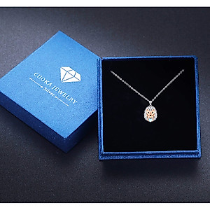 CUOKA MIRACLE Hedgehog Necklace 925 Sterling Silver Cute Hedgehog Pendant Animal Necklace Moonstone Hedgehog Birthday Mother`s day Gift for Women Hedgehog Lovers