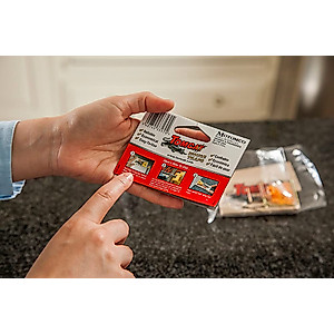 Tomcat Mouse Traps (Wooden), 4 Traps