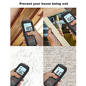 QLUUE Digital Moisture Meter, Moisture Tester with Replaceable pin, Temperature Measurement, Backlit LCD Display Moisture Detector for Wood, Building, Floor