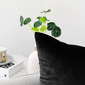 NiNi ALL Decorative Throw Pillow Covers Velvet Soft for Couch Sofa Bedroom Living Room Outdoor Pack of 2 18x18 Inch Black