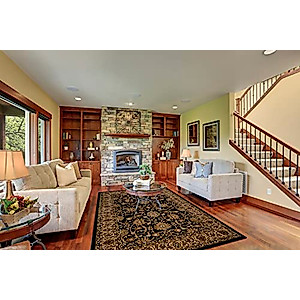 Great American Distributors -Batumi Black Traditional/Transitional Area Rug 5'3" X 7'6"