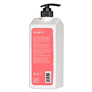 AVYO Color Care Shampoo | Moisturizes and Protects Color from Fading