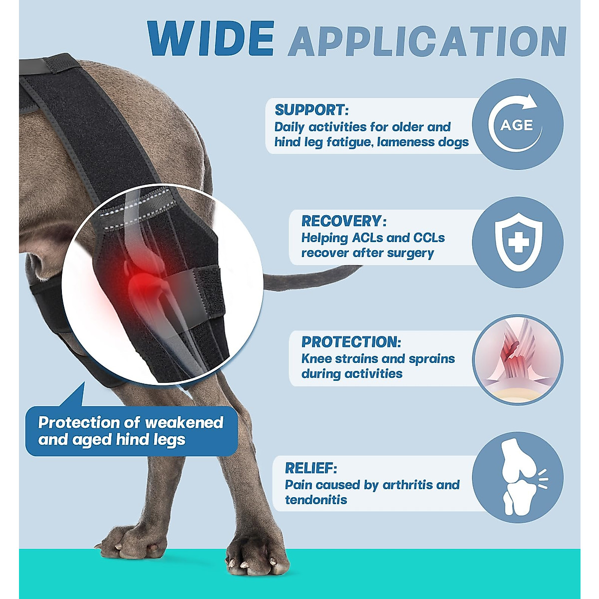 Petdream Dog Knee Brace with Vest, Support Dog Acl Brace for Hind Leg Torn, Adjustable Dog Rear Leg Braces for Cruciate Ligament Injury, Joint Pain Relief and Arthritis (Double, 2)