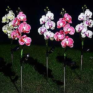 Aolyty Solar Garden Lights Outdoor, IP65 Waterproof Solar Stake Lights Butterfly Orchid Flowers Lights for Lawn Patio Backyard Landscape Party Decorative (Purple, 2 Pack)
