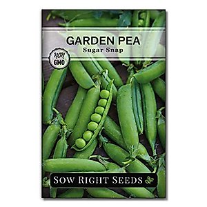 Sow Right Seeds - Sugar Snap Pea Seed for Planting - Non-GMO Heirloom Packet with Instructions to Plant a Home Vegetable Garden
