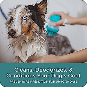 Sergeant's Guardian Pro Flea & Tick Dog Shampoo in Spring Freesia, 18 oz., 00103