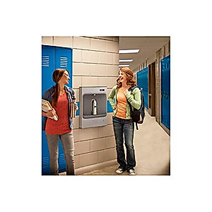 Elkay EMASMB Bottle Filling Station, Large, Stainless Steel