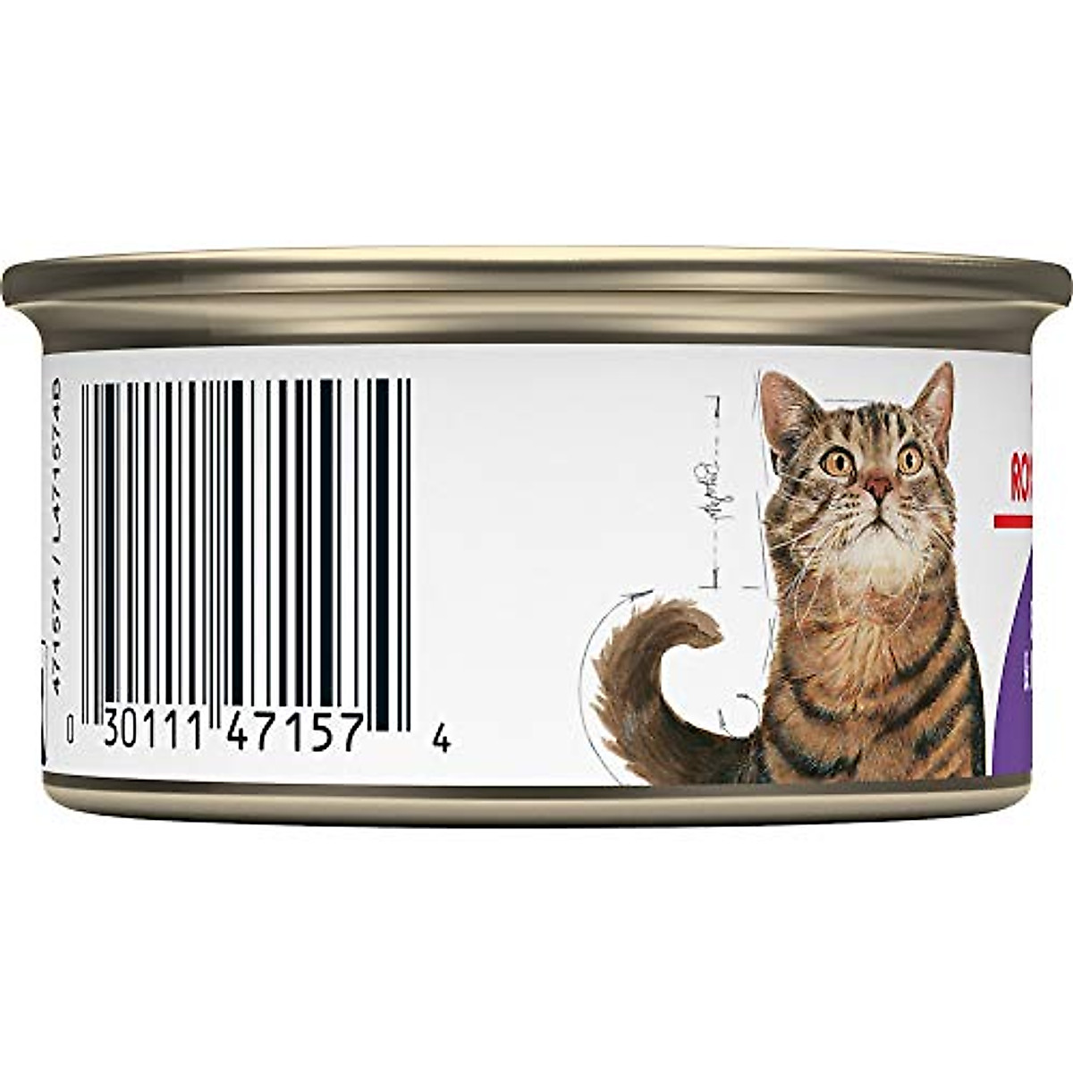 Royal Canin Feline Health Nutrition Spayed/Neutered Thin Slices In Gravy Canned Cat Food, 3 oz cans 24-count