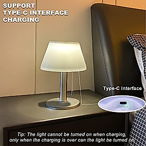 Awanber Solar Table Lamp, Support USB Charging, 3-Level Brightness Solar LED Night Lights with Pull Chain Waterproof Solar Garden Lights for Patio, Garden, Yard, Bedroom, Outdoor/Indoor Decorations