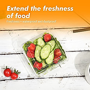 MANSHU 100 Pcs Clear Plastic Take out Containers,Disposable Clamshell Dessert Container with Lid, for Salads, Pasta, Sandwiches (5x5.12x2.36 in).