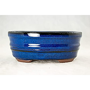 6" Oval Blue Glazed Bonsai/Succulent Pot + Soil + Tray + Rock + Mesh Kit