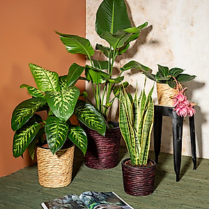 Scheurich Basket Vessel, Brown, 24