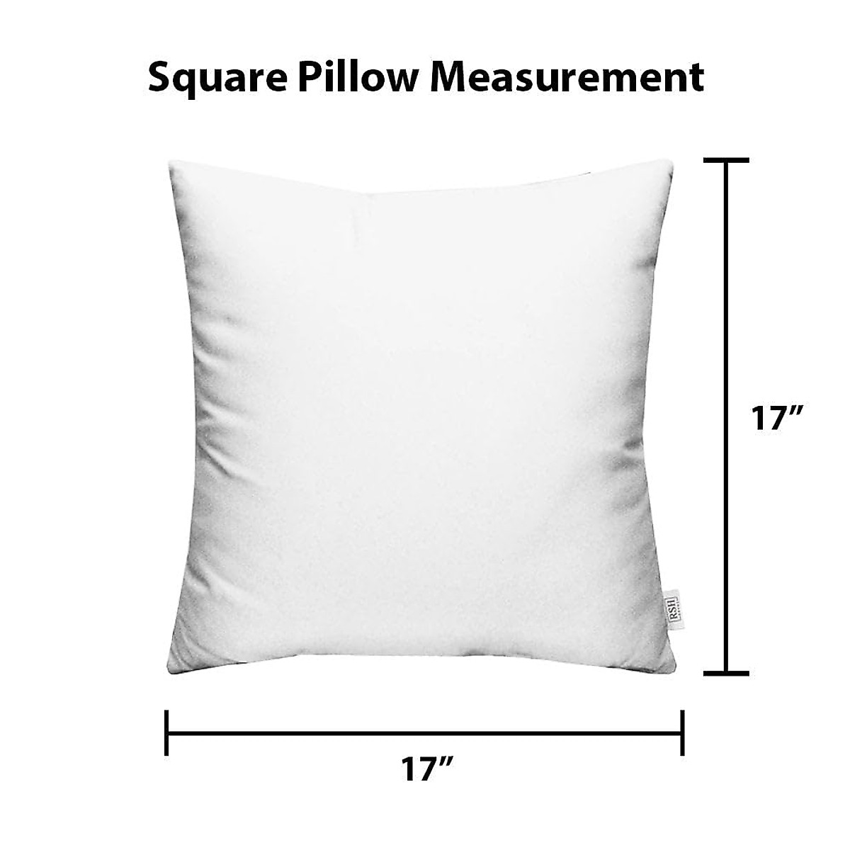 RSH Décor: Set of 2 Square Throw Pillows | Indoor/Outdoor All Weather Polyester Fabric | Decorative Accent Pillows for Patio Furniture | Reversible | 17" x 17" | Swaying Palms Aloe