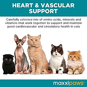 maxxipaws maxxicardio Heart & Cardiovascular Powder Supplement for Cats, 3.2oz