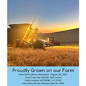 Hard White Wheat Berries | 3-4 LB Kraft Bags (12 LBS total) | Desiccant Free | Sproutable | Non-GMO Project Verified | Kosher