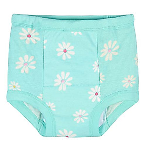 Gerber Baby Girls Infant Toddler 4 Pack Potty Training Pants Underwear Rainbow Turquoise and Pink 2T