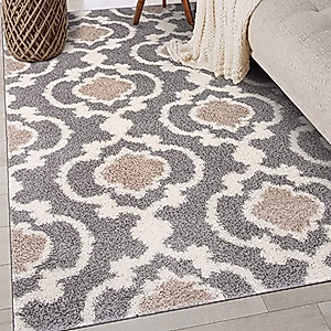 Cozy Moroccan Trellis Gray/Cream 5'3" x 7'3" Indoor Shag Area Rug