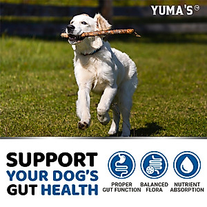 Probiotics for Dogs and Digestive Enzymes - 170 Dog Probiotics Chews - Dog Probiotic - Anti Diarrhea, Upset Stomach & Gas Relief, Constipation, Canine Prebiotic - Pet Fiber Supplement - Gut Health