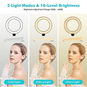 viozon 3-in-1 Selfie Desktop Live Stand, Height Adjustable/Overhead, 8" LED Ring Light, Compatible with 3.5-13" Tablet& Phone, Suitable for YouTube/Tiktok/Recording/Streaming/Online Meeting-B