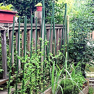 NANOPRETTY Garden Stakes 4FT Tomato Stakes for Outdoor Plant Support, 0.43 inch Diameter Plant Stake Sticks for Beans Potted Climbing Plants Gardening Supplies 20 Pack