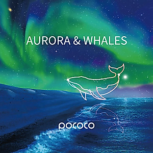 【Limited Time Offer: 16% Off 】POCOCO Galaxy Projector + Aurora and Deep Sea - Discs (6 Pieces)