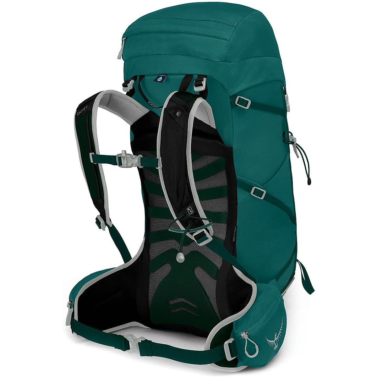 Osprey Tempest 30 Women's Hiking Backpack Jasper Green, X-Small/Small