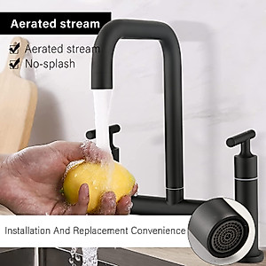 Dornberg Bridge Kitchen Faucet, 360 Swivel 2 Hole 2 Handle Kitchen Sink Faucet, Stainless Steel Matte Black