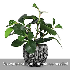 LORYDECO Artificial Potted Plants, Real Looking Fiddle Leaf Fake Plant with Pot, Plastic Watercress Leaves Small Faux Trees with Cement Planter, Greenery Plant Table Decor for Home Indoor