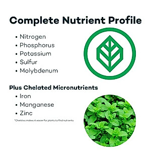 Fitleaf Leaf Vitality All Purpose 20-20-20 (3.52 oz) – Premium Foliar Feed Water Soluble Fertilizer to Spray for All Plants – Promotes Biomass Growth and Vibrant Leaf Color, Complete Plant Nutrition with Amino Acids (3.53 oz)