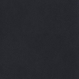 Hydeline Monica Top Grain Leather Power Zero Gravity Reclining Sofa Couch, 86", Midnight Gray, Memory Foam, Pocket Coils and Control Panel