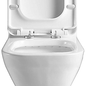 Fine Fixtures Dual-Flush Elongated One-Piece Toilet with High Efficiency Flush