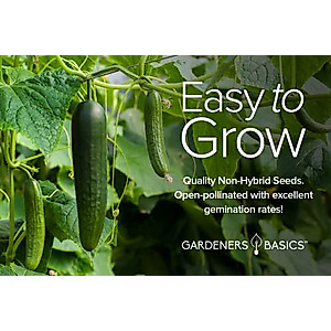 Cucumber Seeds for Planting Outdoors 8 Variety Pack Burpless Tendergreen, Beit Alpha, Marketmore 76, Armenian, Boston Pickling, Lemon, Spacemaster, Straight Eight Veggie Seeds by Gardeners Basics