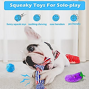 Heibizi Puppy Toys for Teething Small Dogs, Dog Toys for Small Dogs, Puppy Teething Chew Toys, Small Dog Toys Pack with Stuffed Squeaky Toys, Dog Ball, Ring Toy, Rope Toy