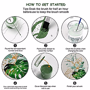 SANWEITU Paint by Number for Adults with Wooden Frame 12×12 inch Paint by Number 3 Packs Green Plants Home Decoration for Beginners with Paints and Brushes