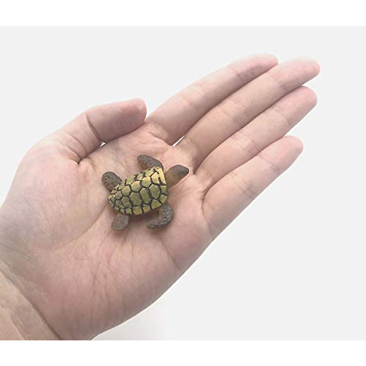 Exasinine 10 Pcs Sea Turtle Miniature Turtle Statue  Resin Figurines Fairy Garden Accessories Cake Toppers Decoration Set for Succulent Planter Moss Landscape DIY Terrarium Home Décor