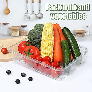 Divided Serving Tray with Lid and Handle, Snack Containers Travel Snackle Box Clear Organizer Food Storage Fresh-keeping Box for Candy Fruits Nuts Snacks, (1 Pack with 8 compartments)