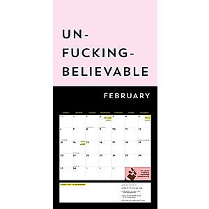 A F*cking 2022 Wall Calendar: Get Your Sh*t Together This Year - Includes Stickers! (Funny Monthly Calendar, White Elephant Gag Gift for Adults) (Calendars & Gifts to Swear By)