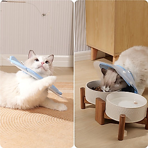 KUDES Dual Layer Cat Cone, Dual-Purpose Model Lightweight All-Around Protective Neck After Surgery E Collar to Wound (Blue M (7.8inch- 13.3inch))