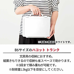 Tenma Lightweight and Easy to Handle Plastic Storage Box, Perfect for B5 Size Notebooks, Sewing Box, Small Items, Hakot, Off-White, Width 11.4 x Depth 9.1 x Height 2.8 inches (29 x 23 x 7 cm) [Size: