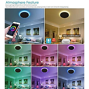 TALOYA Smart Ceiling Light Flush Mount LED WiFi, Compatible with Alexa Google Home, Dimmable Low Profile Ambient Light Fixture for Bedroom Living Room,12 Inch 24W
