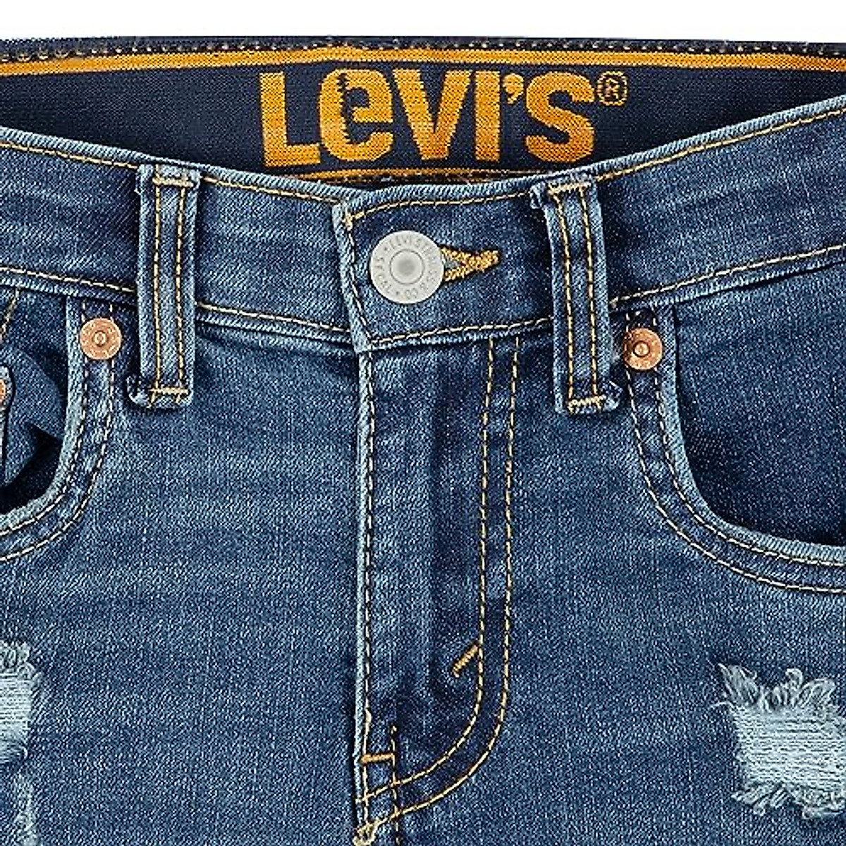 Levi's Boys' 510 Skinny Fit Destructed Jeans, Paper Shredder, 12