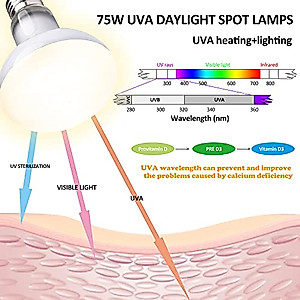 Makmzoon 2Pack Reptile Heat Lamp Bulb,75W UVA Basking Spot Lamp of Bearded Dragon,Heat Bulbs for Reptiles,Reptile Basking Spot Bulb,Sun Heat Bulb for Bearded Dragon Turtle Tortoise