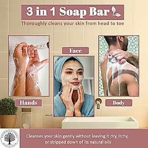 Wavertree & London English Rose Scented Natural Soap (2 Bars), 7oz Moisturizing French Triple Milled Soap Bars enriched with shea butter - Pure Plant Oil Bath & Body Soap for All Skin Types